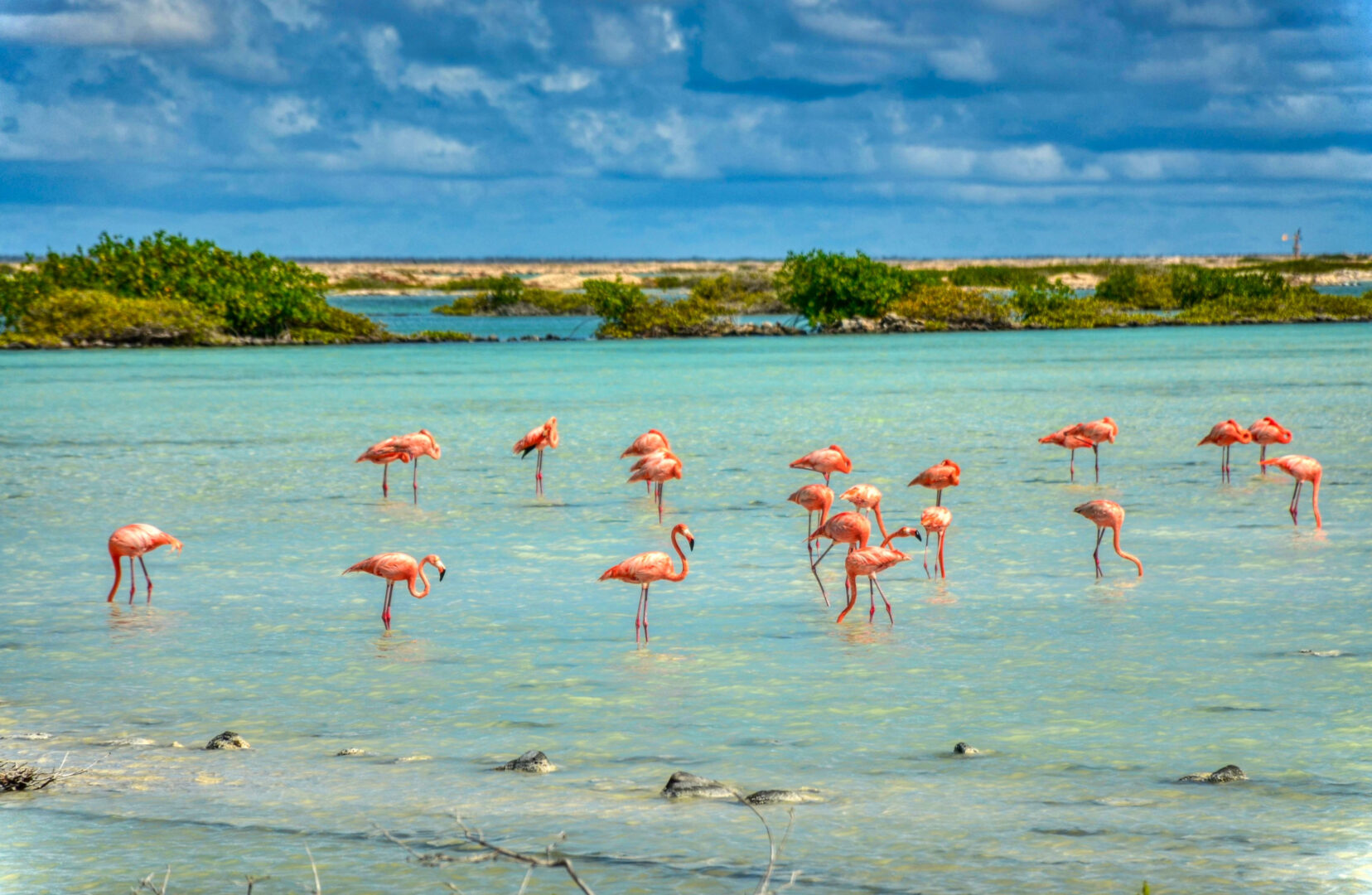 Luxury Holidays to Bonaire | Tailor-made Trips - cazenove+loyd