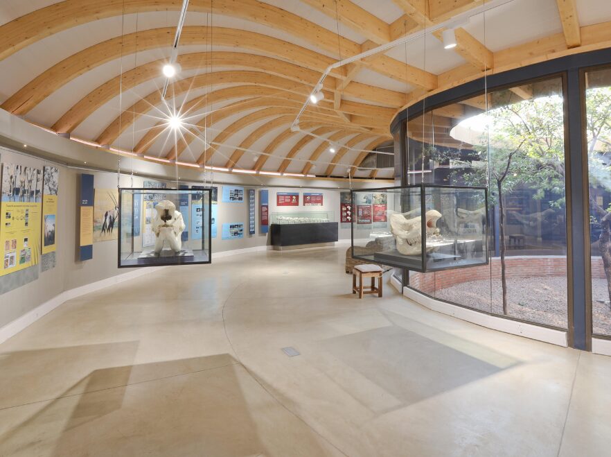 Ongava Lodge | Luxury Namibia