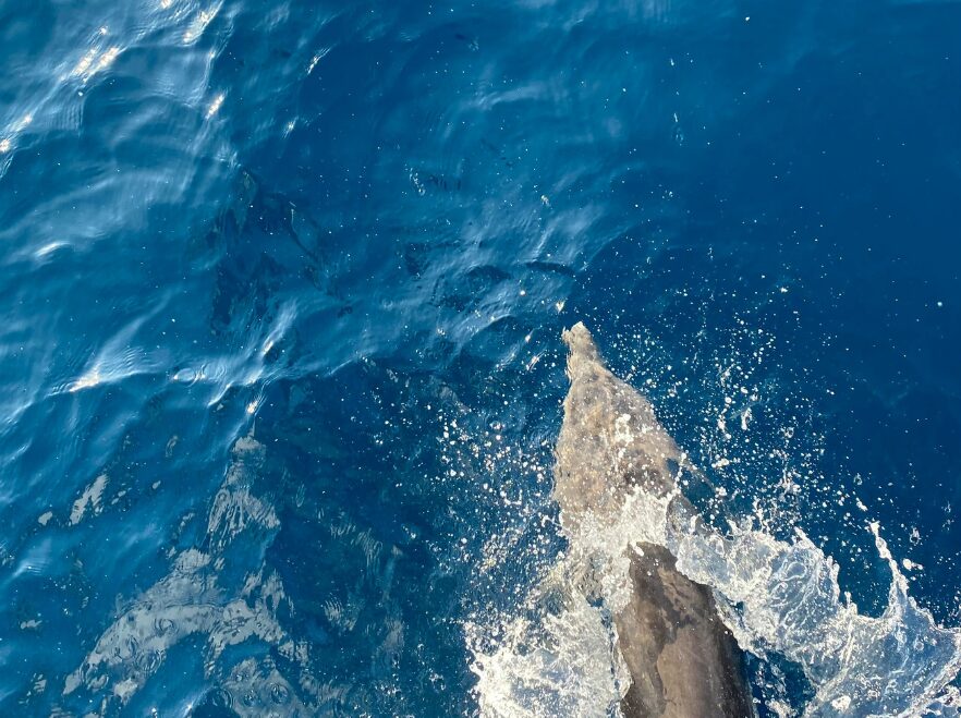 Red Sea | Luxury Egypt