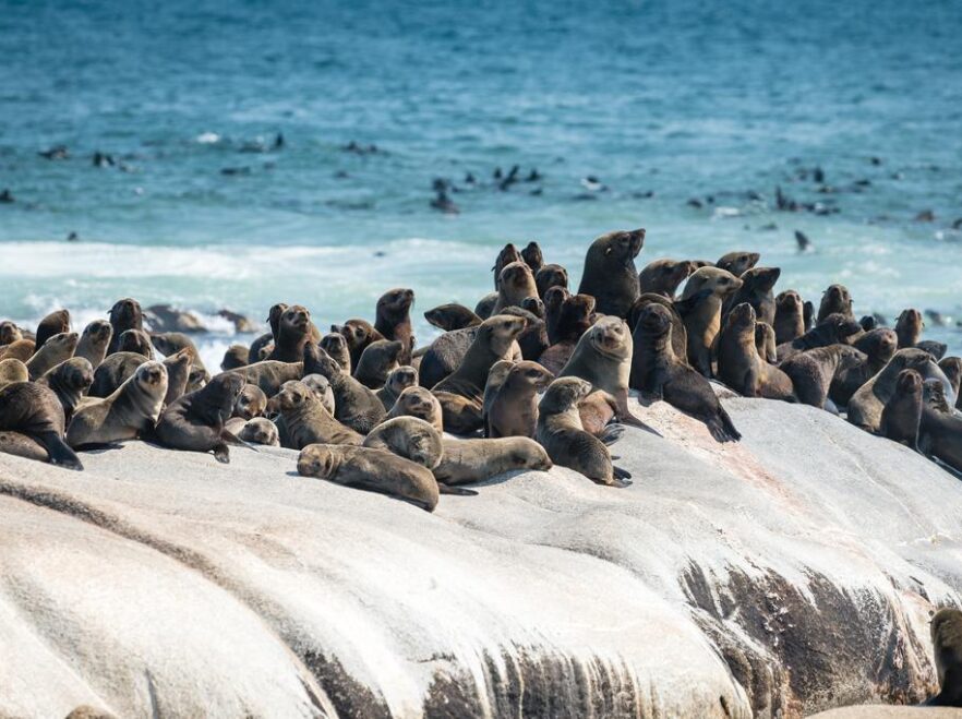 Skeleton Coast | Luxury Namibia